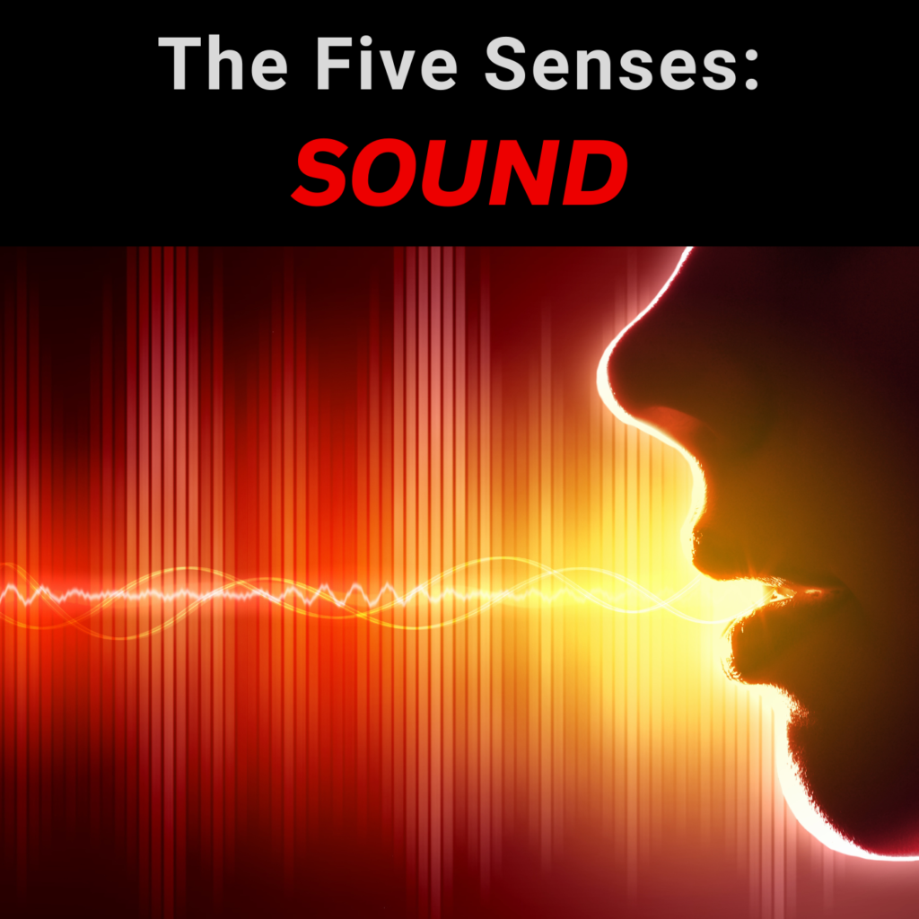 The Five Senses | Sound – AIRC565 – Inglespodcast